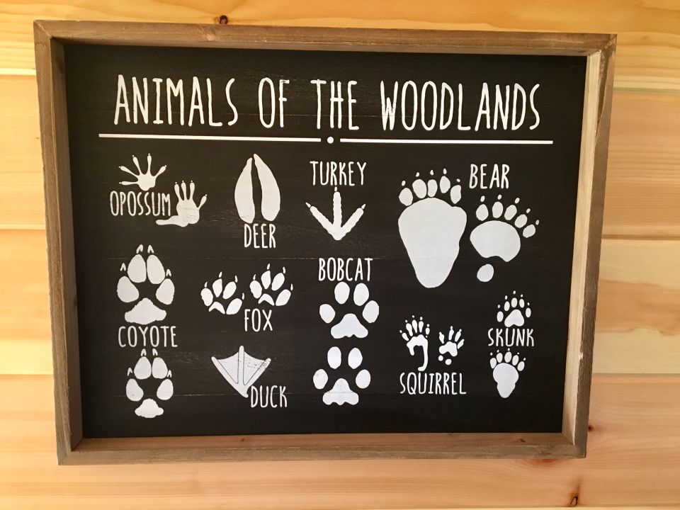 Gallery | Rustic Ravines